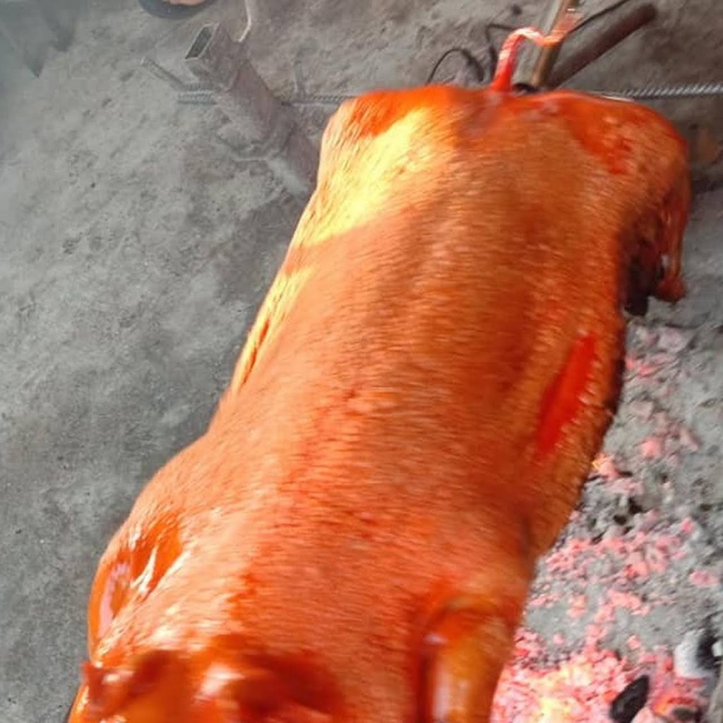 99+ Hình Ảnh Heo Quay Nguyên Con Thơm Ngon, Thịt Heo Hấp Dẫn