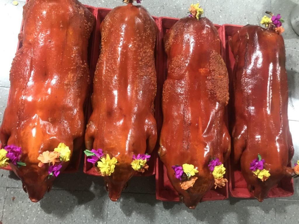 99+ Hình Ảnh Heo Quay Nguyên Con Thơm Ngon, Thịt Heo Hấp Dẫn